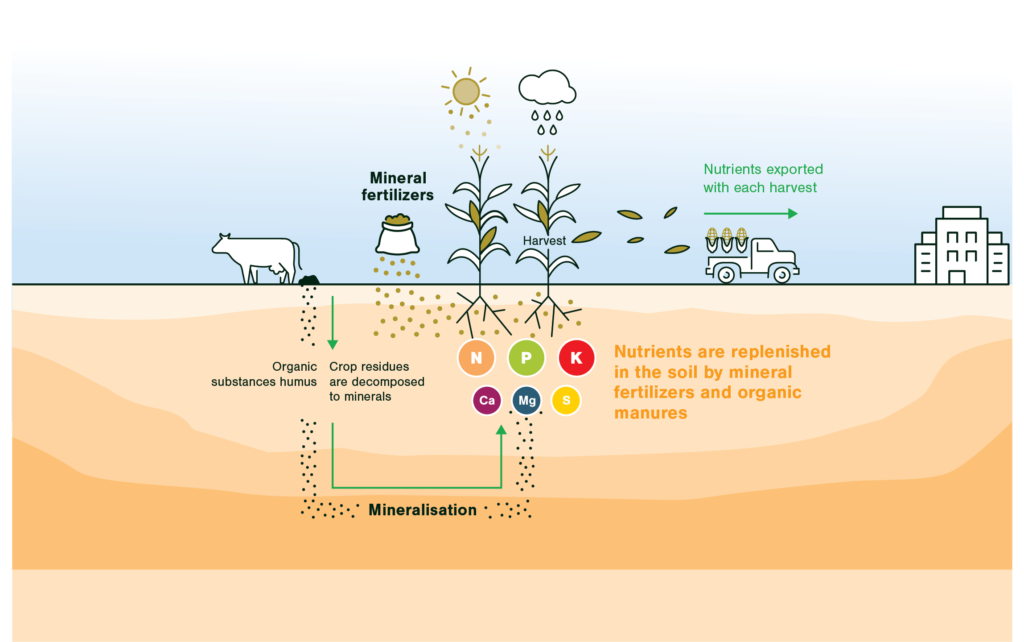 R&D project FERTIMANURE – Supporting innovative nutrient recovery ...
