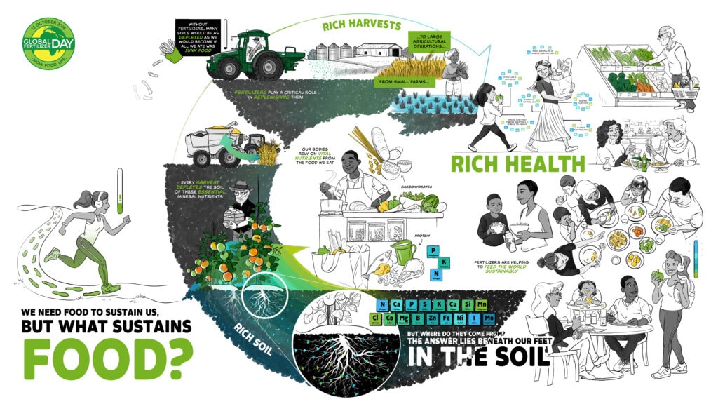 From Soil to Plate: The Journey of Essential Nutrients - Fertilizers Europe
