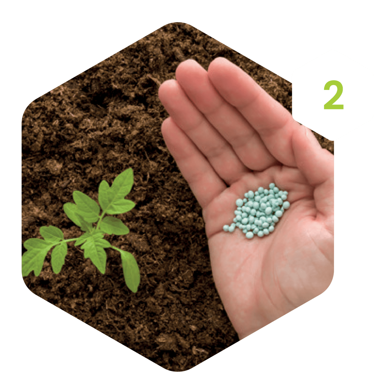 Decarbonising Fertilizers by 2050 - Fertilizers Europe