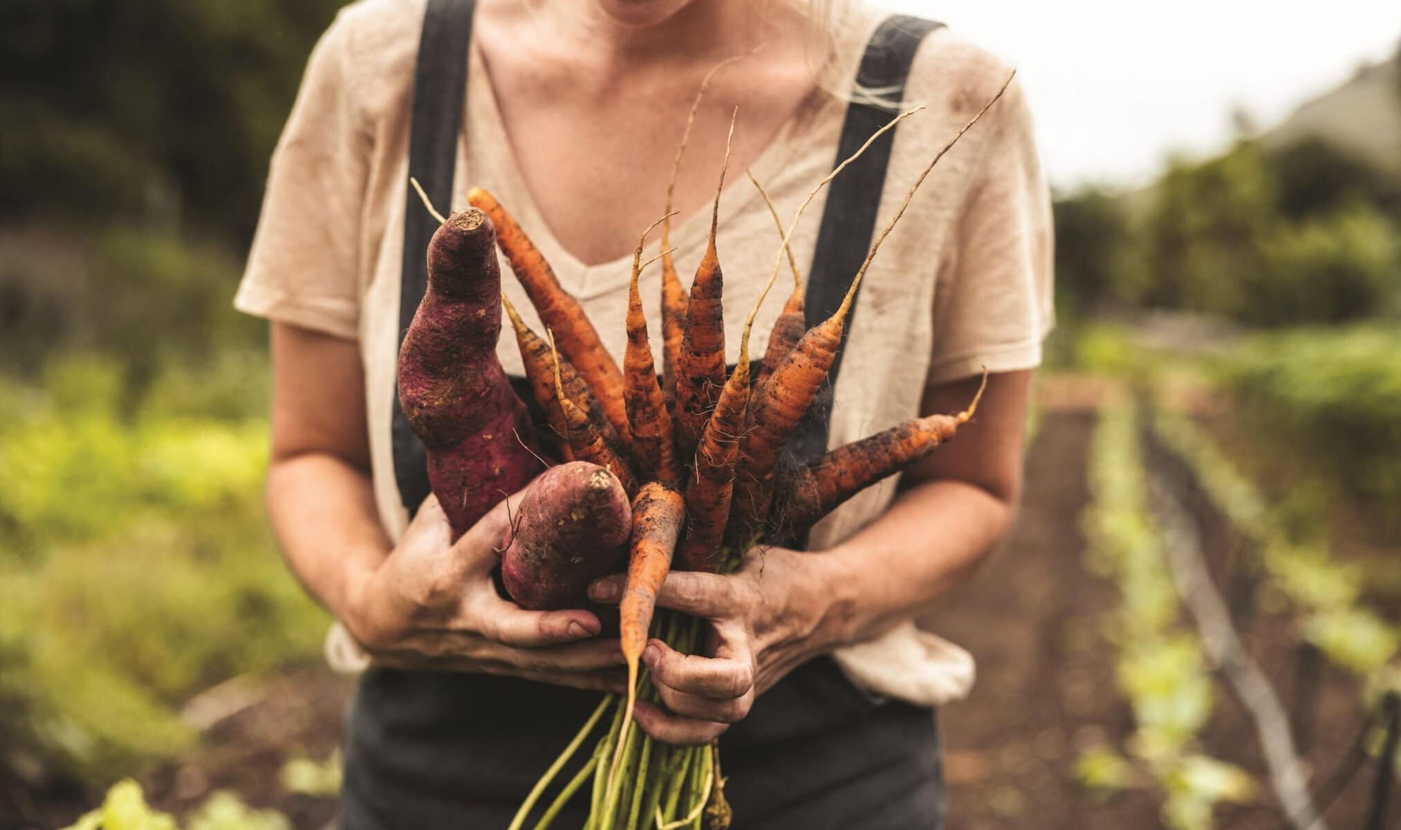 Vision for Agriculture and Food: The vital role of the EU fertilizer ...